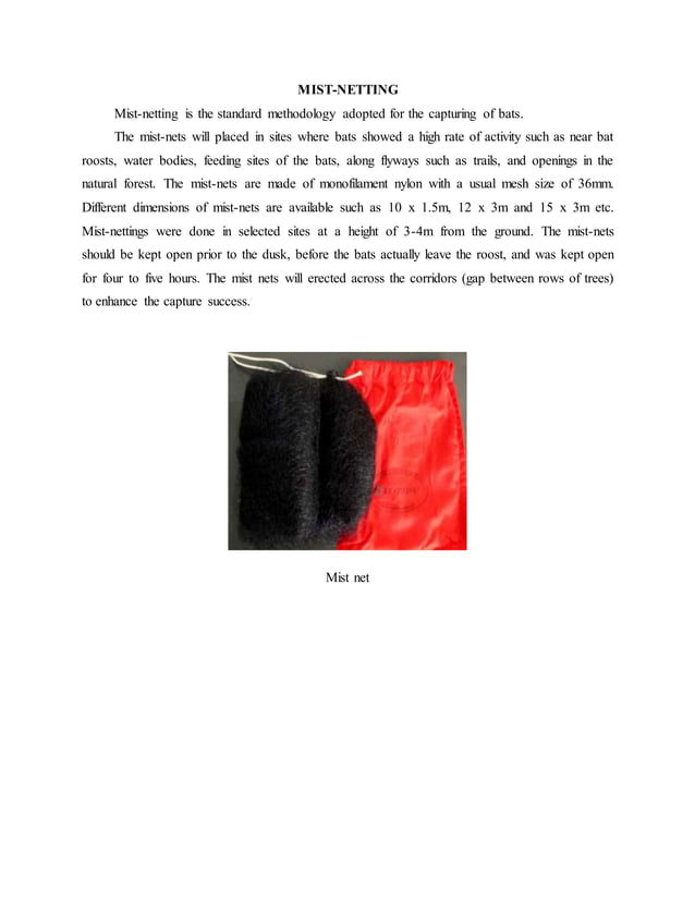 Mist netting, #bats, wildlife Biology | DOCX