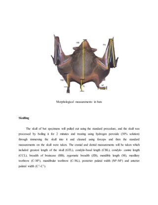 Mist netting, #bats, wildlife Biology | DOCX