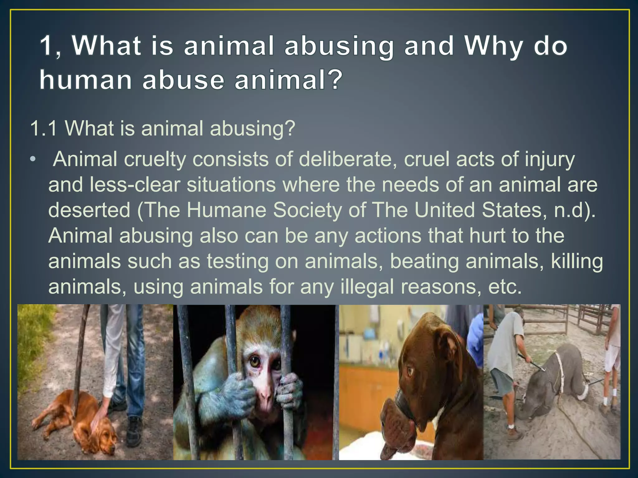 Mistreatment of animals | PPT