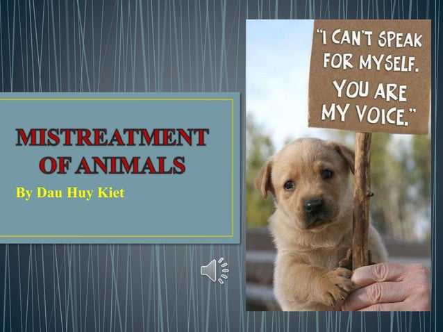 Mistreatment of animals | PPT