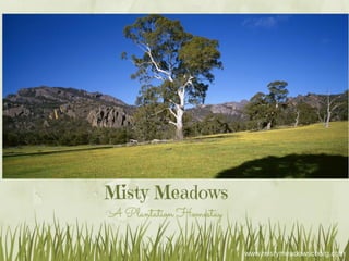 Misty meadows | PPTX