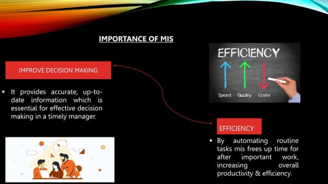 MIS VS BIS-3.pptx | Information Services Industry | Industries