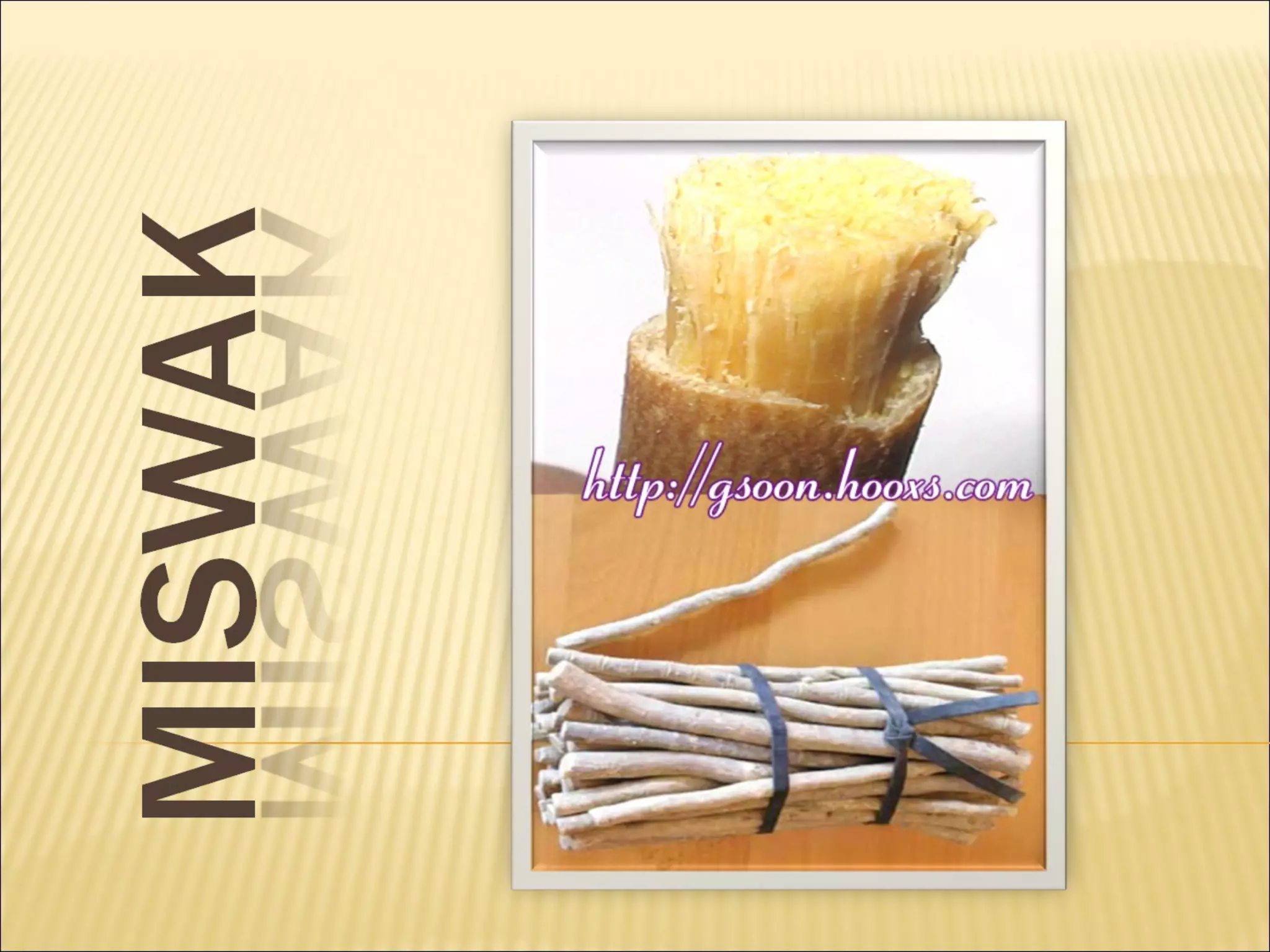 Miswak persuasive speech | PPT