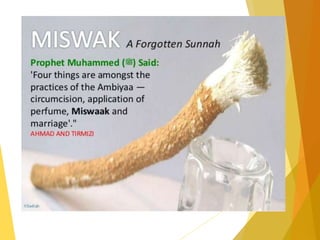 Miswak the sunna A Presentation by Mr Allah Dad Khan Former DG Agri ...