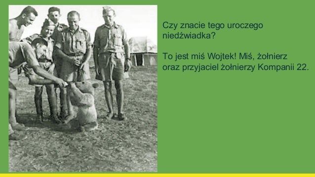 Mis Wojtek