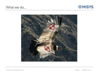 IT od kuchni w Misys | PPTX