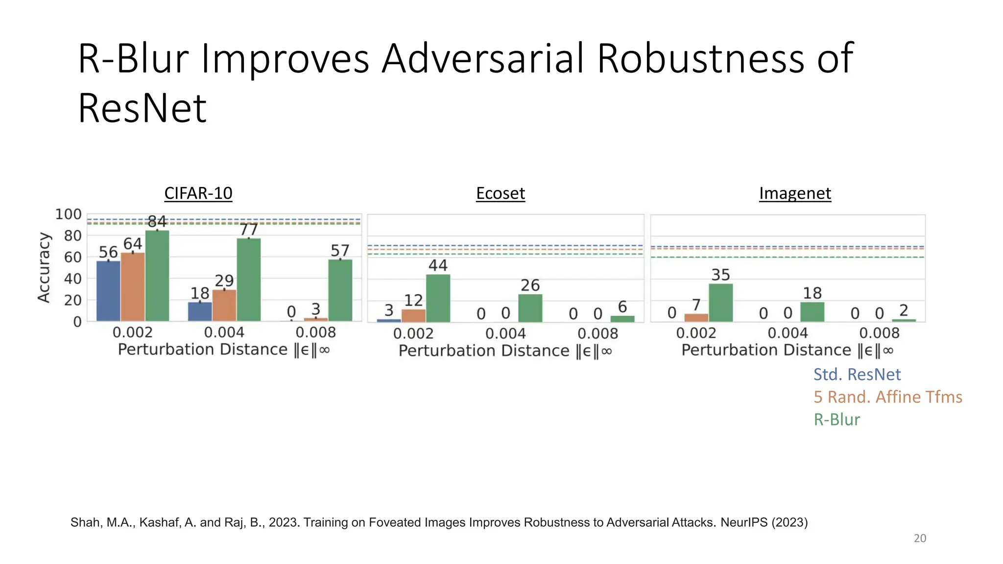 Biologically Inspired Methods for Adversarially Robust Deep Learning | PPT