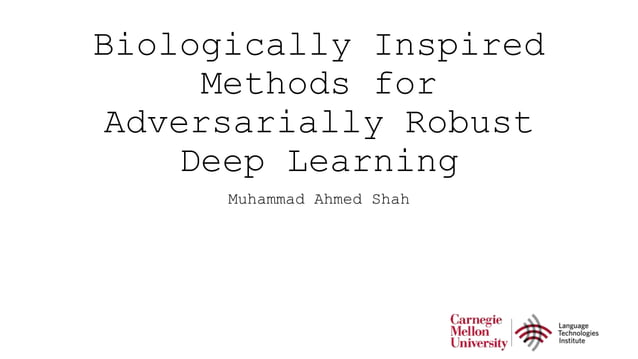 Biologically Inspired Methods For Adversarially Robust Deep Learning Ppt 