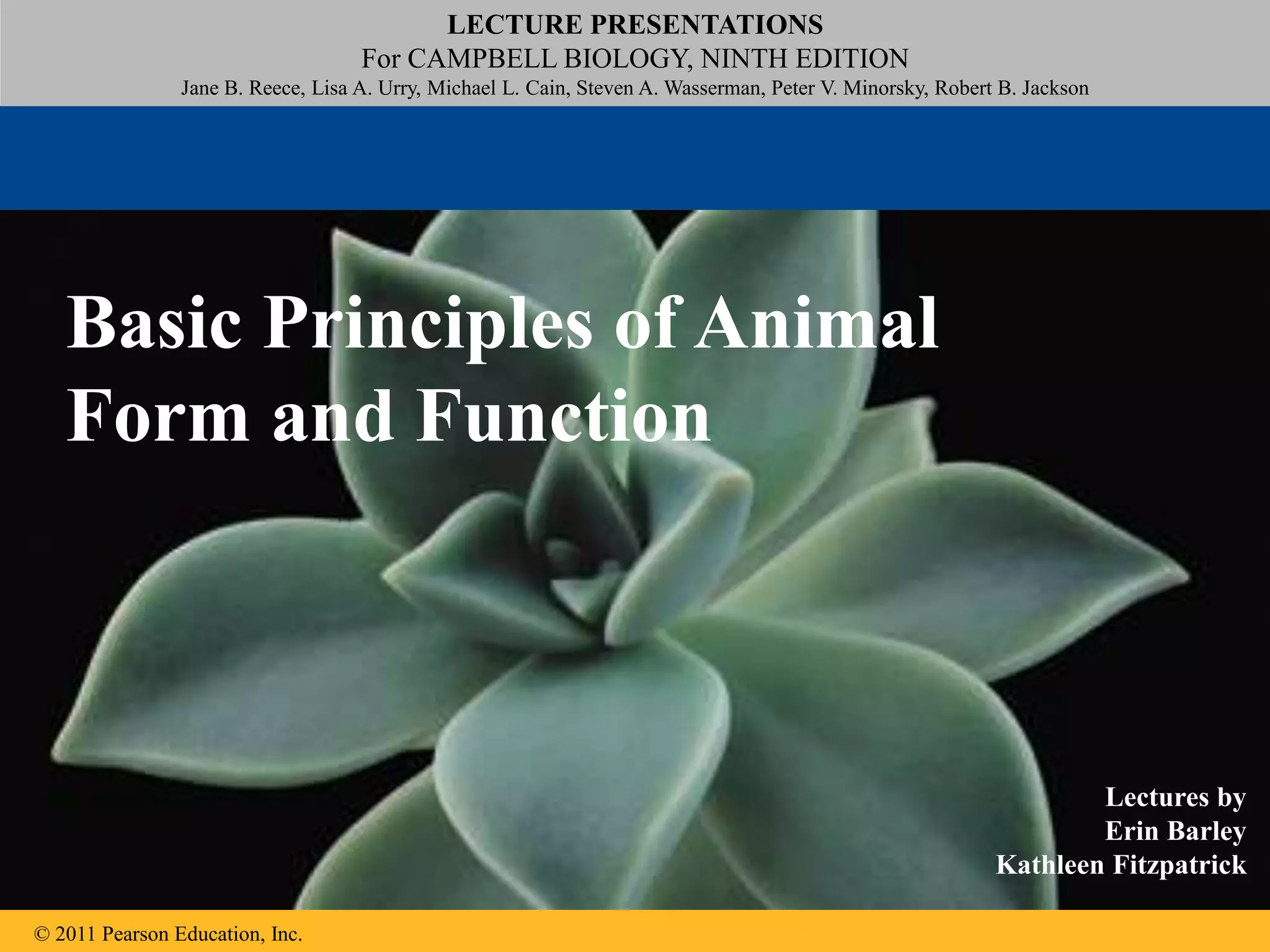 _Forms and Function_ | PPT