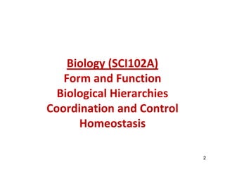 _Forms and Function_ | PPT