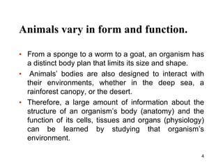 _Forms and Function_ | PPT