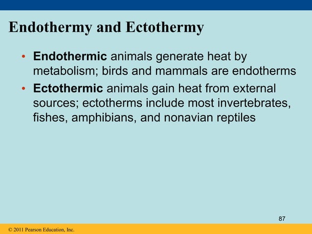 _Forms and Function_
