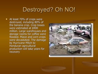 mitch the killer | PPT