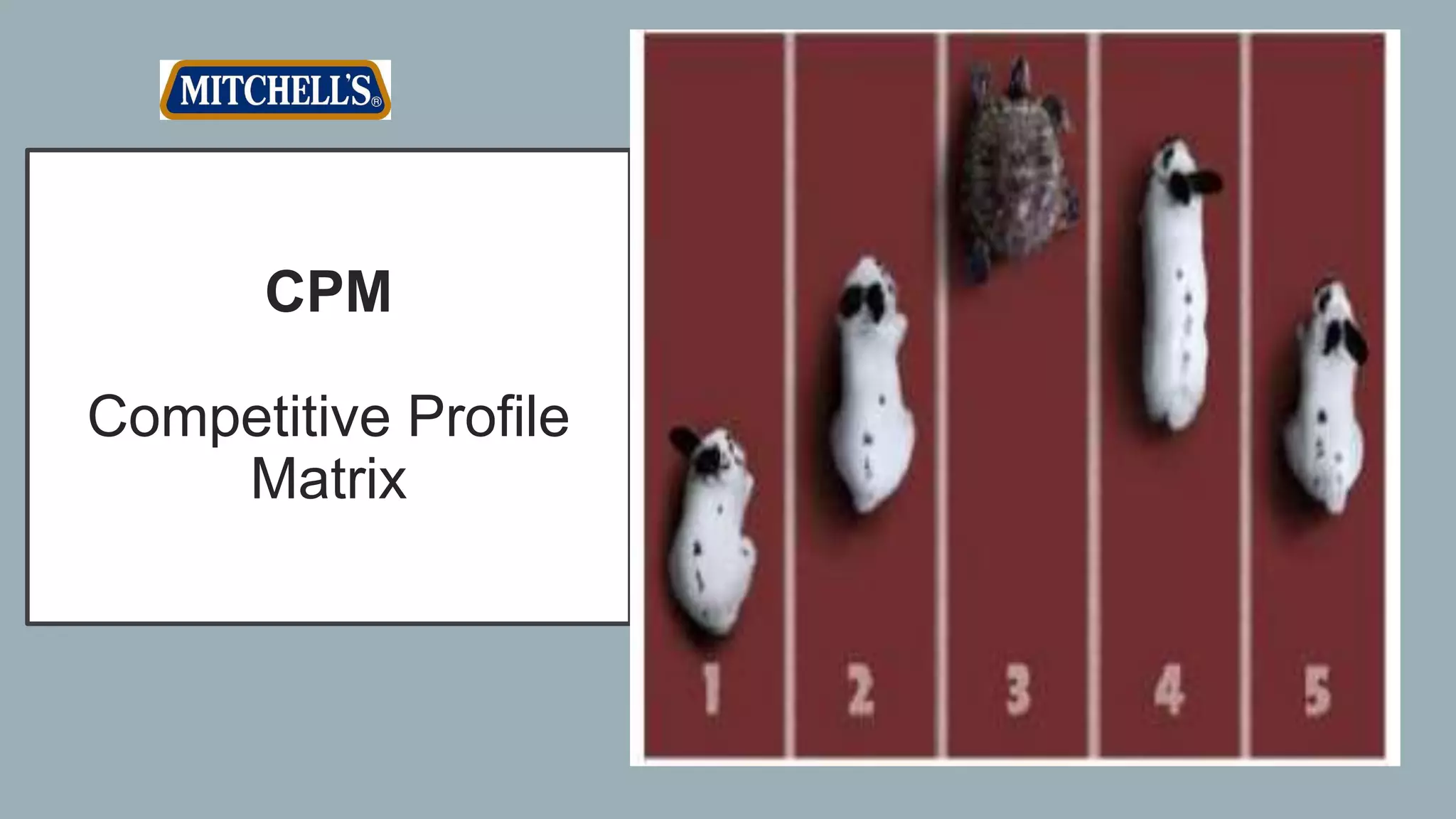 Mitchell's competitive analysis | PPTX