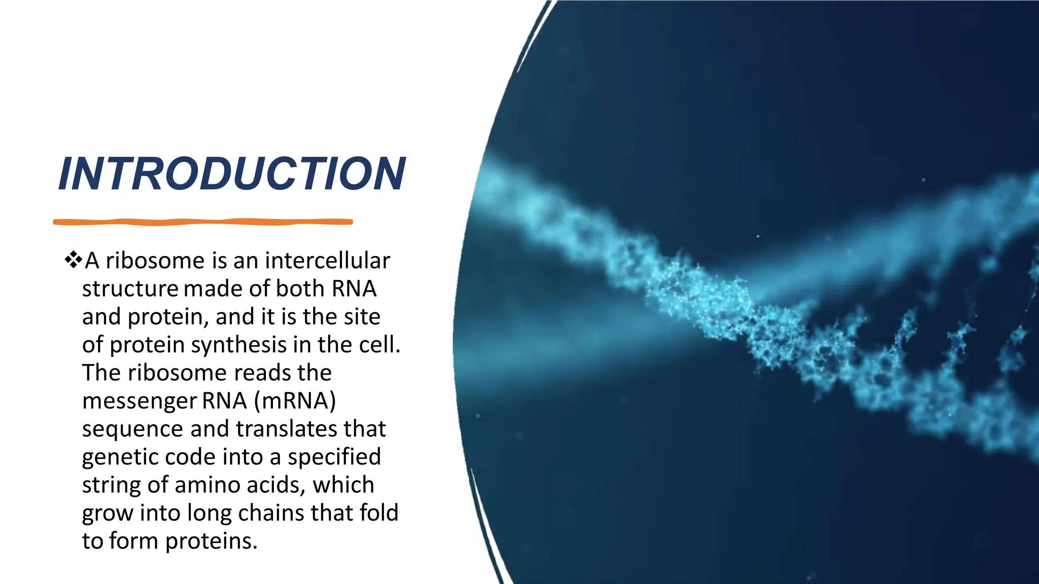 Mitochondria and ribosomes structure function and disorders | PPTX