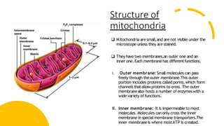 Mitochondria and ribosomes structure function and disorders | PPT