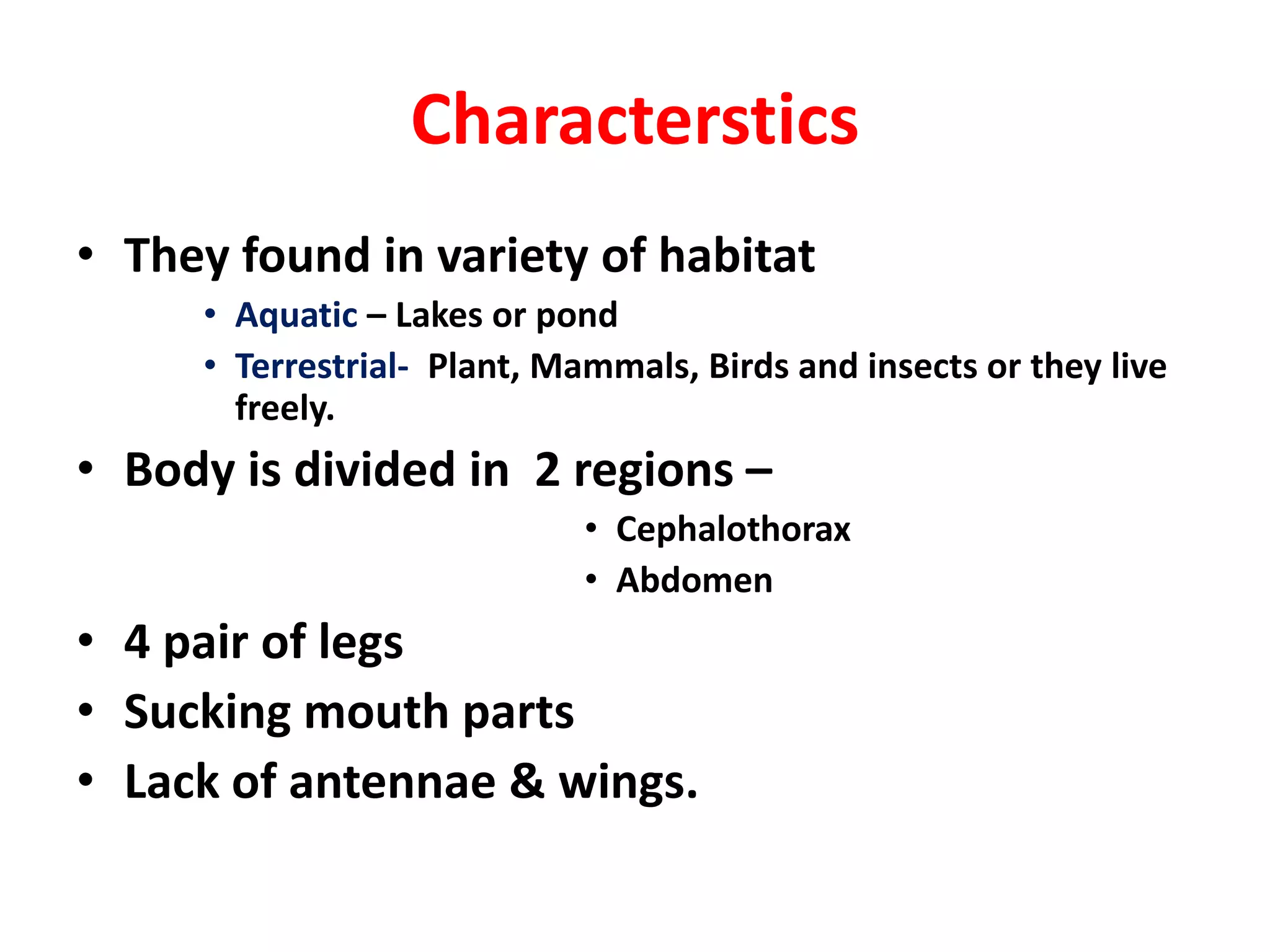 Mites ppt | PPTX