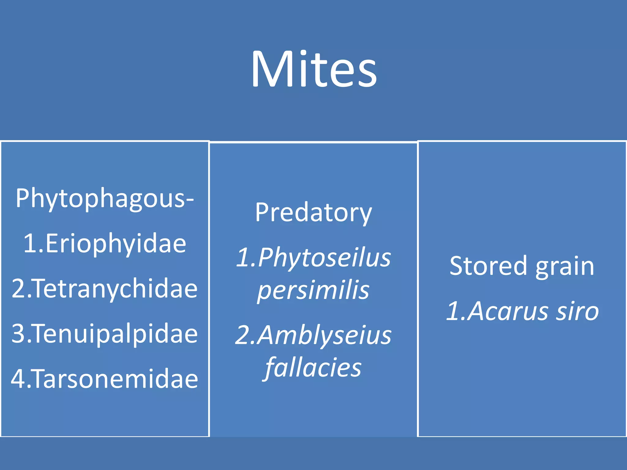 Mites ppt | PPTX