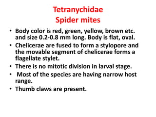Mites ppt | PPTX