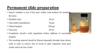 Different types of mites in crops, damages caused | PDF