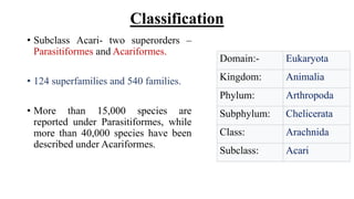 Different types of mites in crops, damages caused | PDF