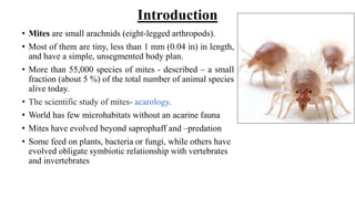 Different types of mites in crops, damages caused | PDF