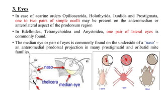 Different types of mites in crops, damages caused | PDF