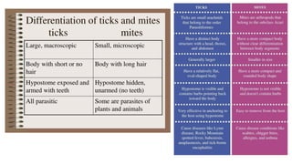 Different types of mites in crops, damages caused | PDF