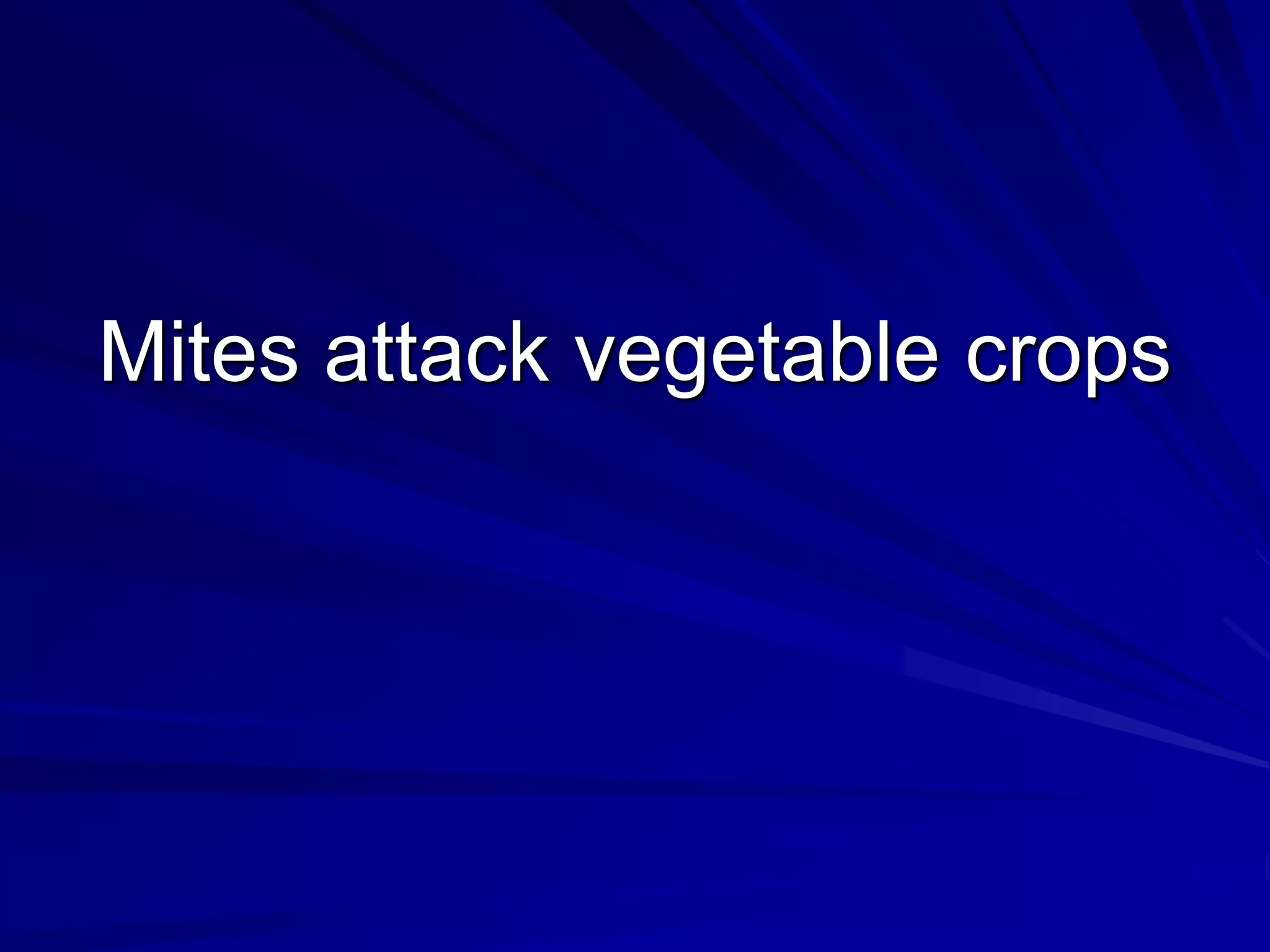 IPM - Mites injurious to vegetable crops | PPT
