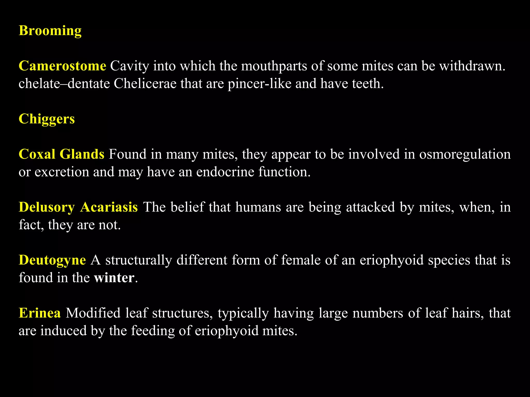 Comparative morphology of Acari, phylogeny of higher categories in ...