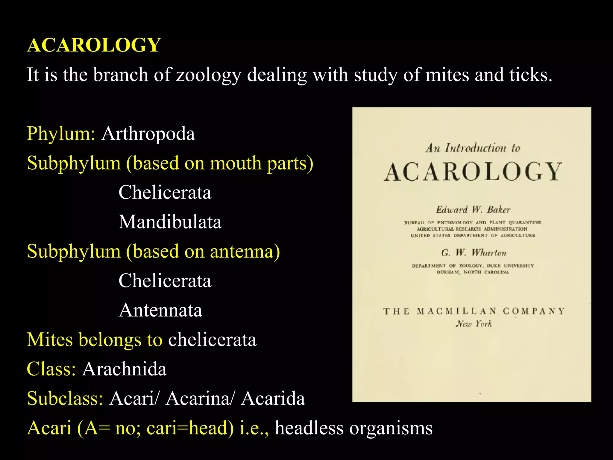 Comparative morphology of Acari, phylogeny of higher categories in ...