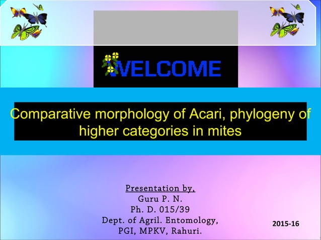 Comparative morphology of Acari, phylogeny of higher categories in ...