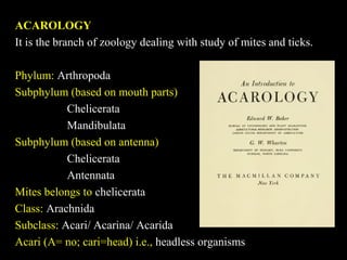 Comparative morphology of Acari, phylogeny of higher categories in ...