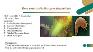 mite transmitted viral plant diseases and their management.pdf