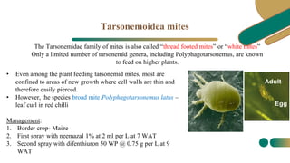 mite transmitted viral plant diseases and their management.pdf