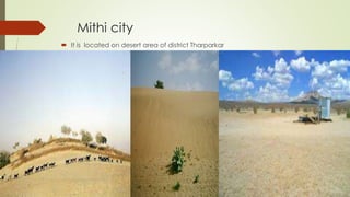 Mithi pakistan | PPTX
