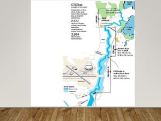 Mithi river pollution pptx. | PPTX