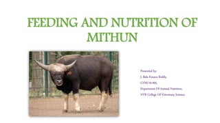 FEEDING AND NUTRITION OF MITHUN | PPTX