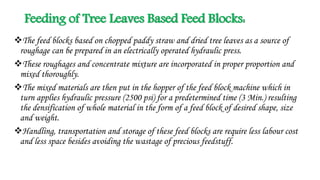 FEEDING AND NUTRITION OF MITHUN | PPTX