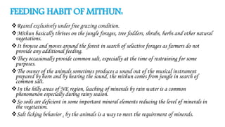 FEEDING AND NUTRITION OF MITHUN | PPTX