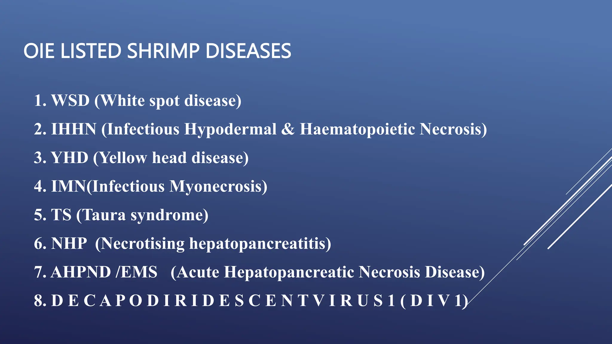 major type of diseases affecting shrimps | PPTX