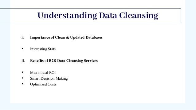 Mitigate Potential Business Risks with B2B Data Cleansing Services | PPT