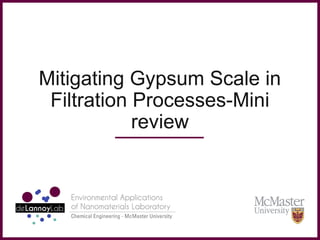 Mitigating Gypsum Scale in Filtration Processes.pptx