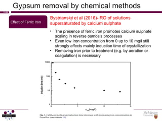 Mitigating Gypsum Scale in Filtration Processes.pptx