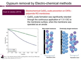 Mitigating Gypsum Scale in Filtration Processes.pptx