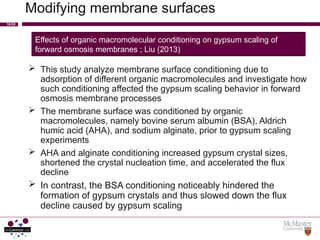 Mitigating Gypsum Scale in Filtration Processes.pptx
