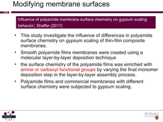 Mitigating Gypsum Scale in Filtration Processes.pptx