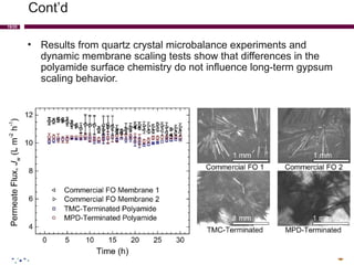 Mitigating Gypsum Scale in Filtration Processes.pptx
