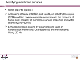 Mitigating Gypsum Scale in Filtration Processes.pptx