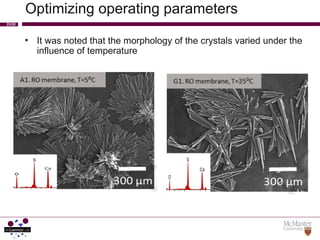 Mitigating Gypsum Scale in Filtration Processes.pptx